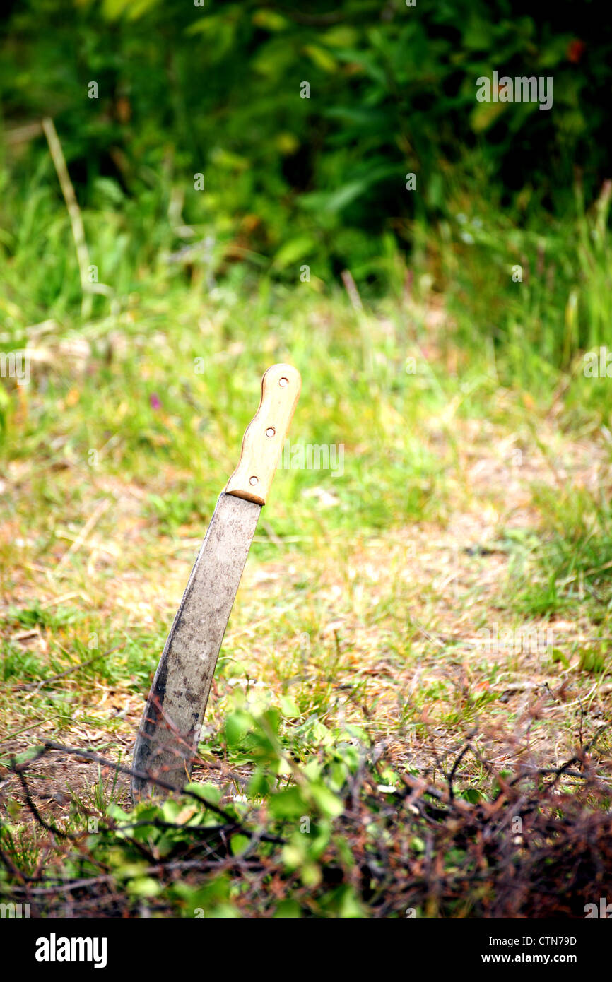 latin american machete outdoor nature Stock Photo - Alamy