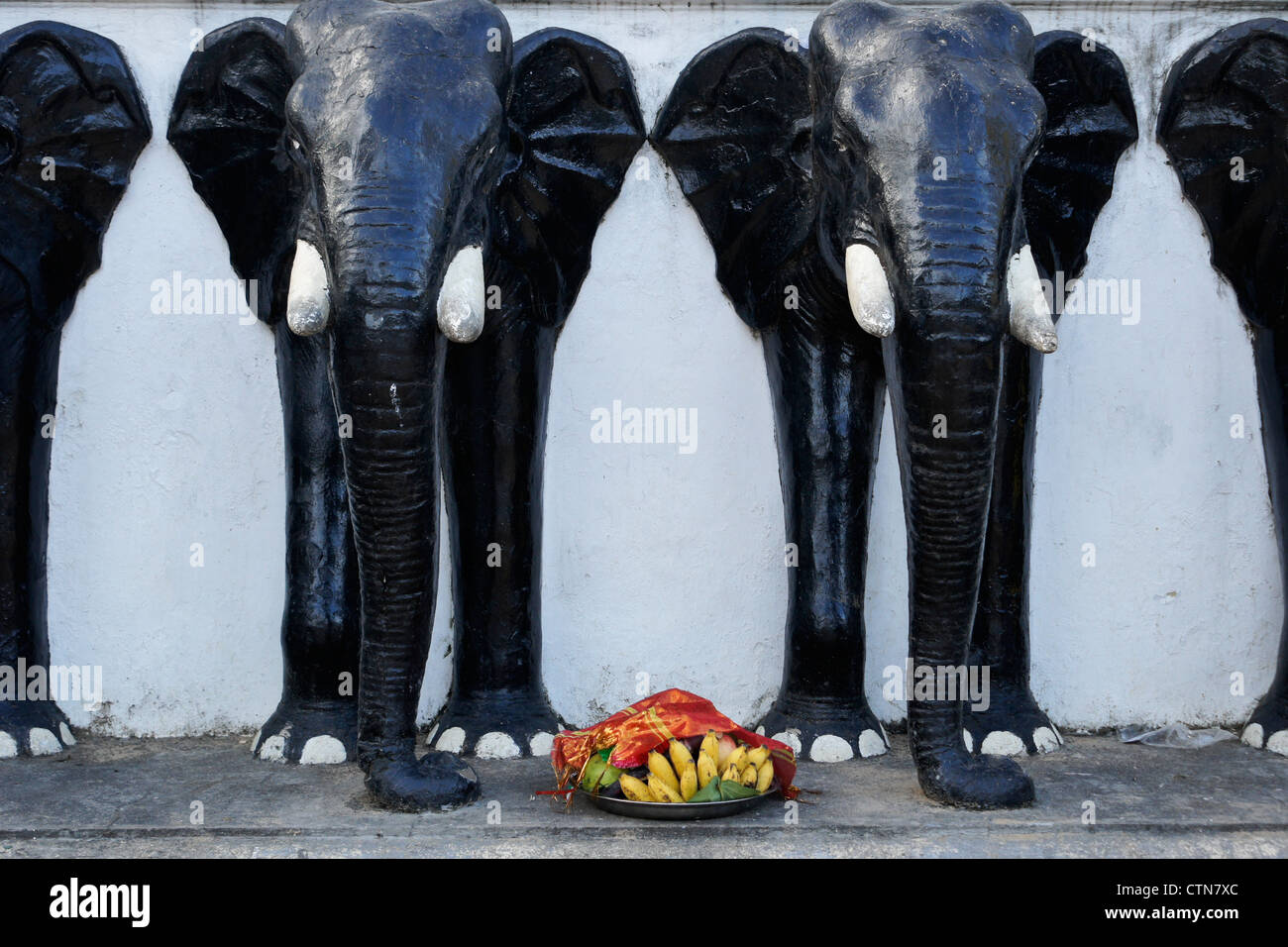Elephants on wall of Kataragamam Hindu/Buddhist temple complex ...