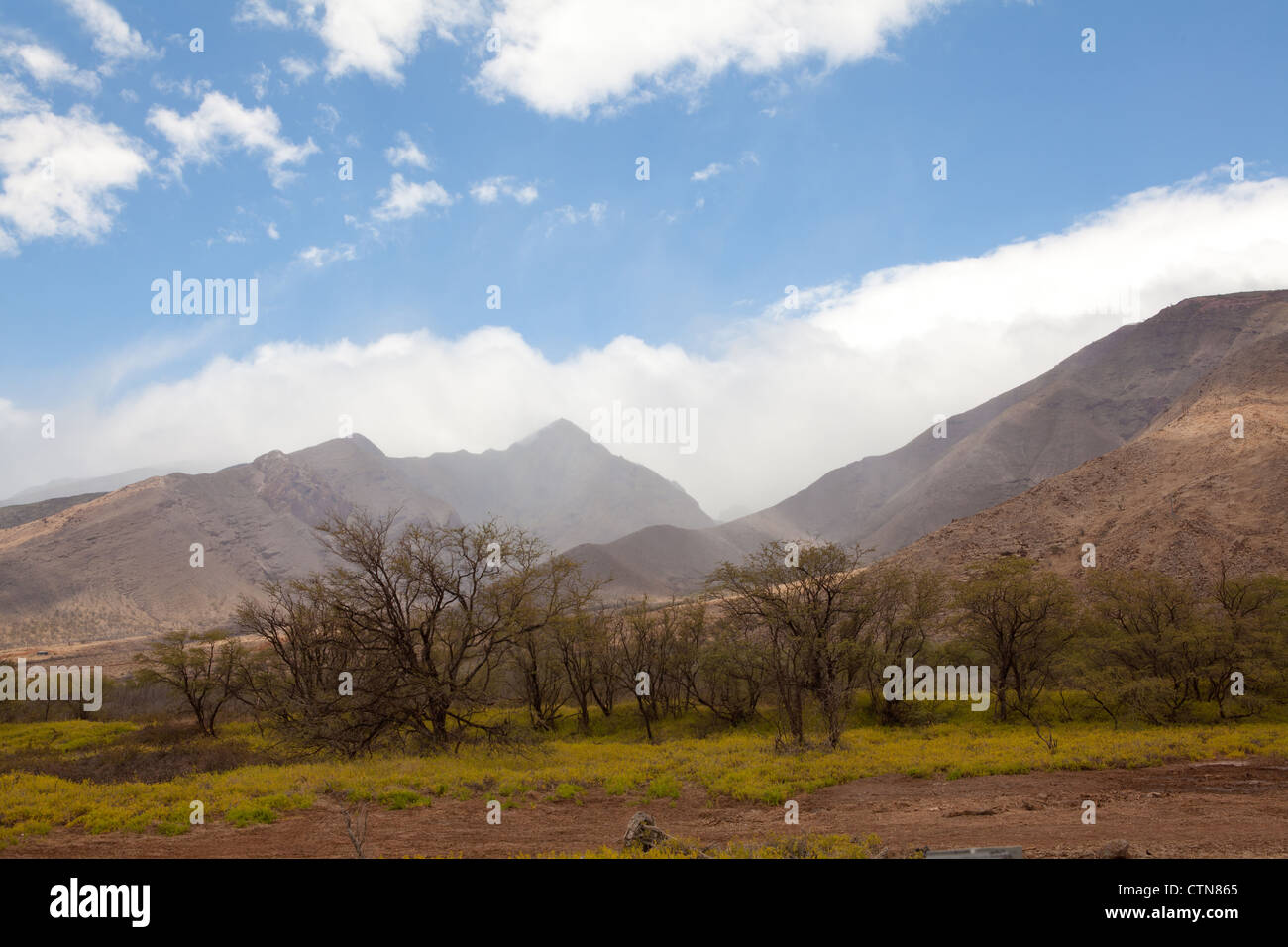 Dry hills of Maui, Hawaii suffering from drought Stock Photo - Alamy