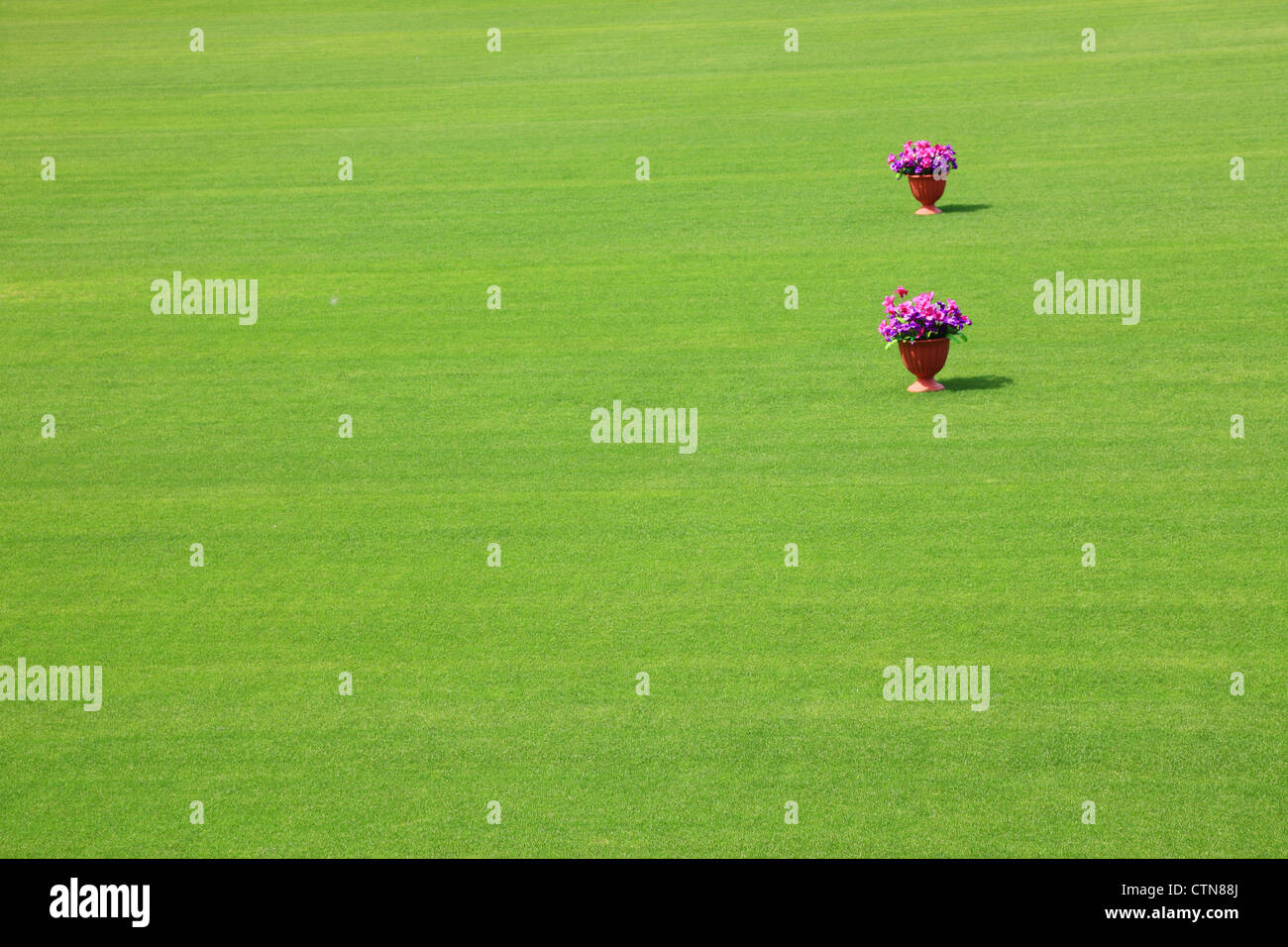 Perfectly cut lawn hi-res stock photography and images - Alamy