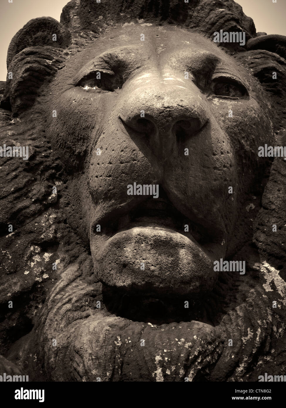Head statue hi-res stock photography and images - Alamy