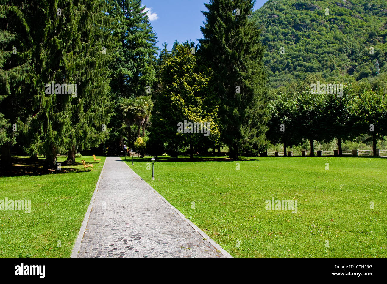 Crodo hi-res stock photography and images - Alamy