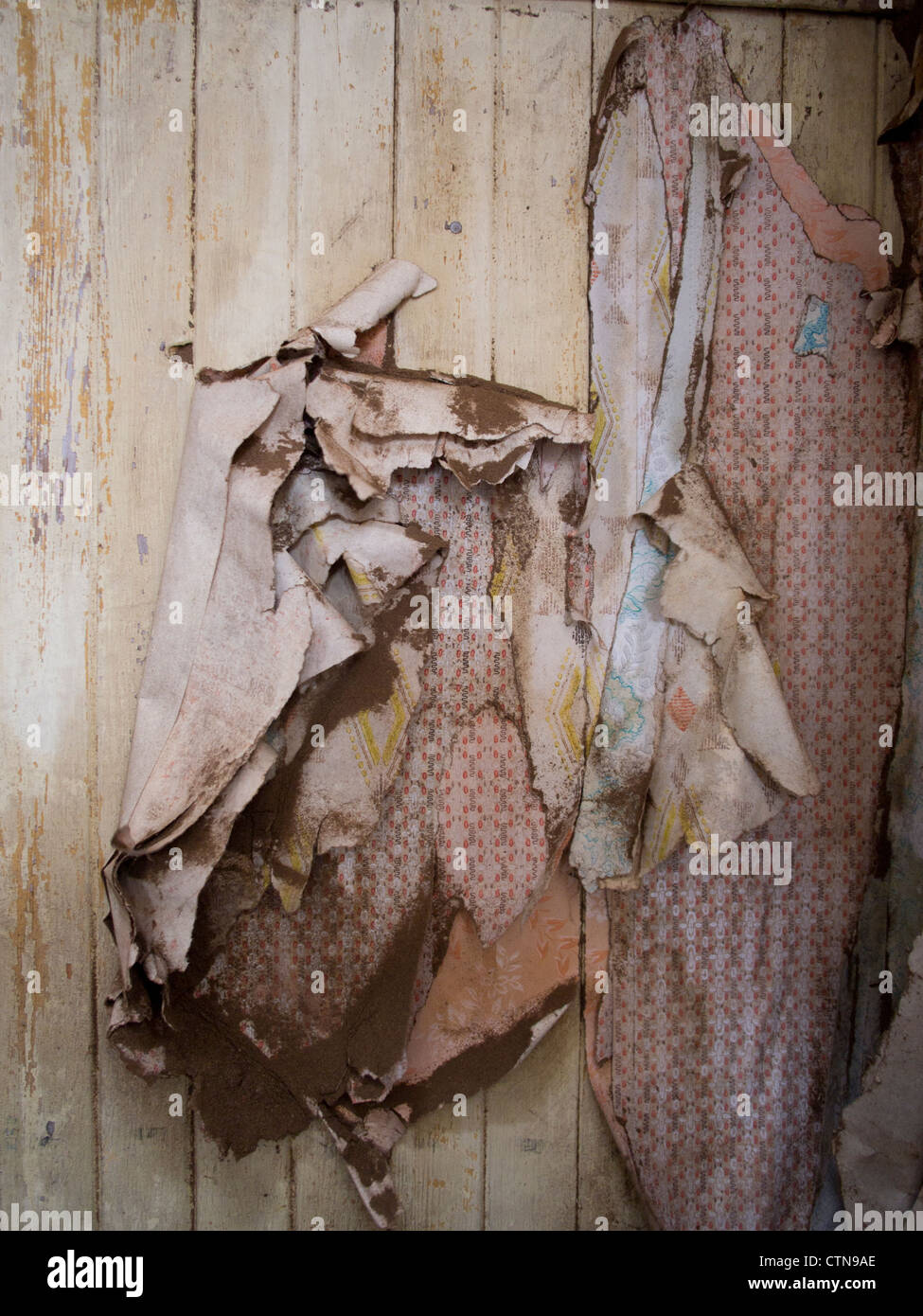 Peeling Wallpaper Stock Photo - Alamy Peeling Wallpaper Stock Photo - Alamy