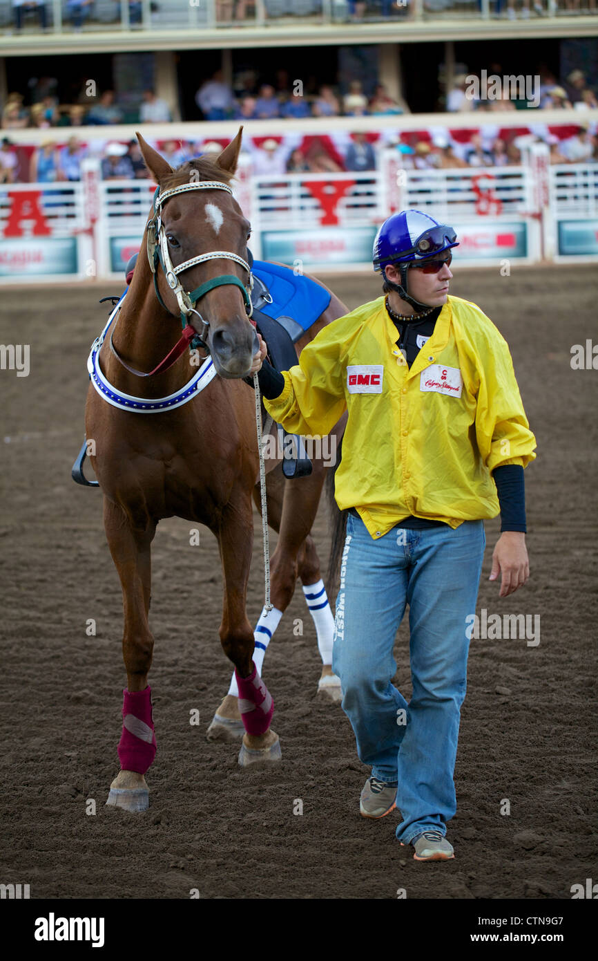 A rodeo walks with his horse in tow in Calgary stampede, Alberta Stock ...
