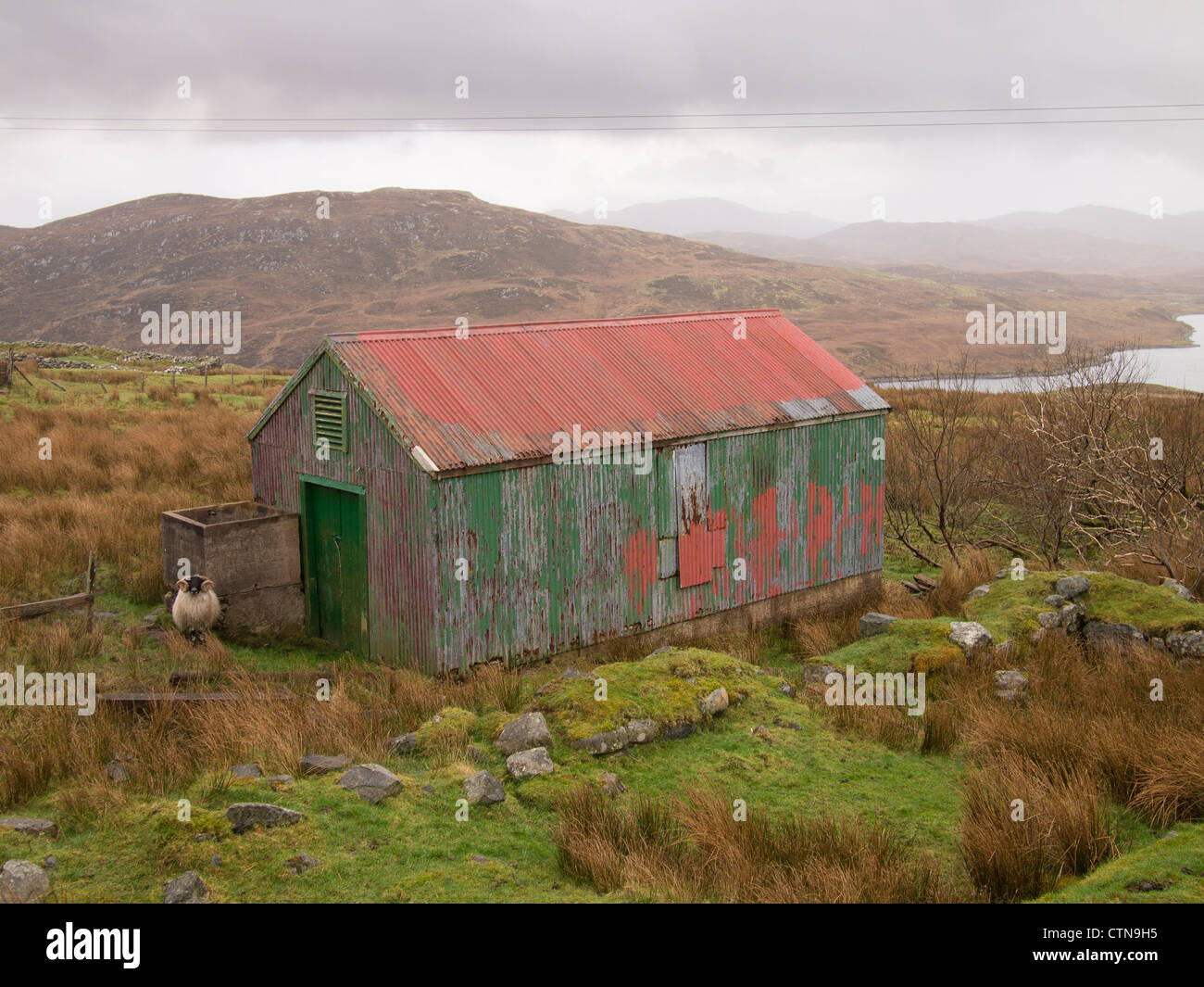 Sheep shed hi-res stock photography and images - Alamy