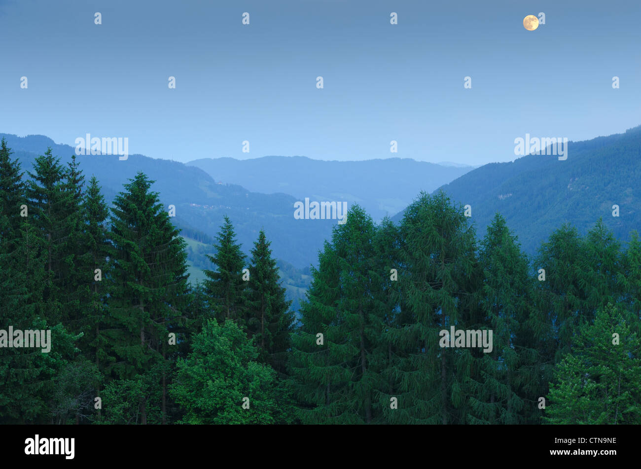 Full moon dusk pine hi-res stock photography and images - Alamy