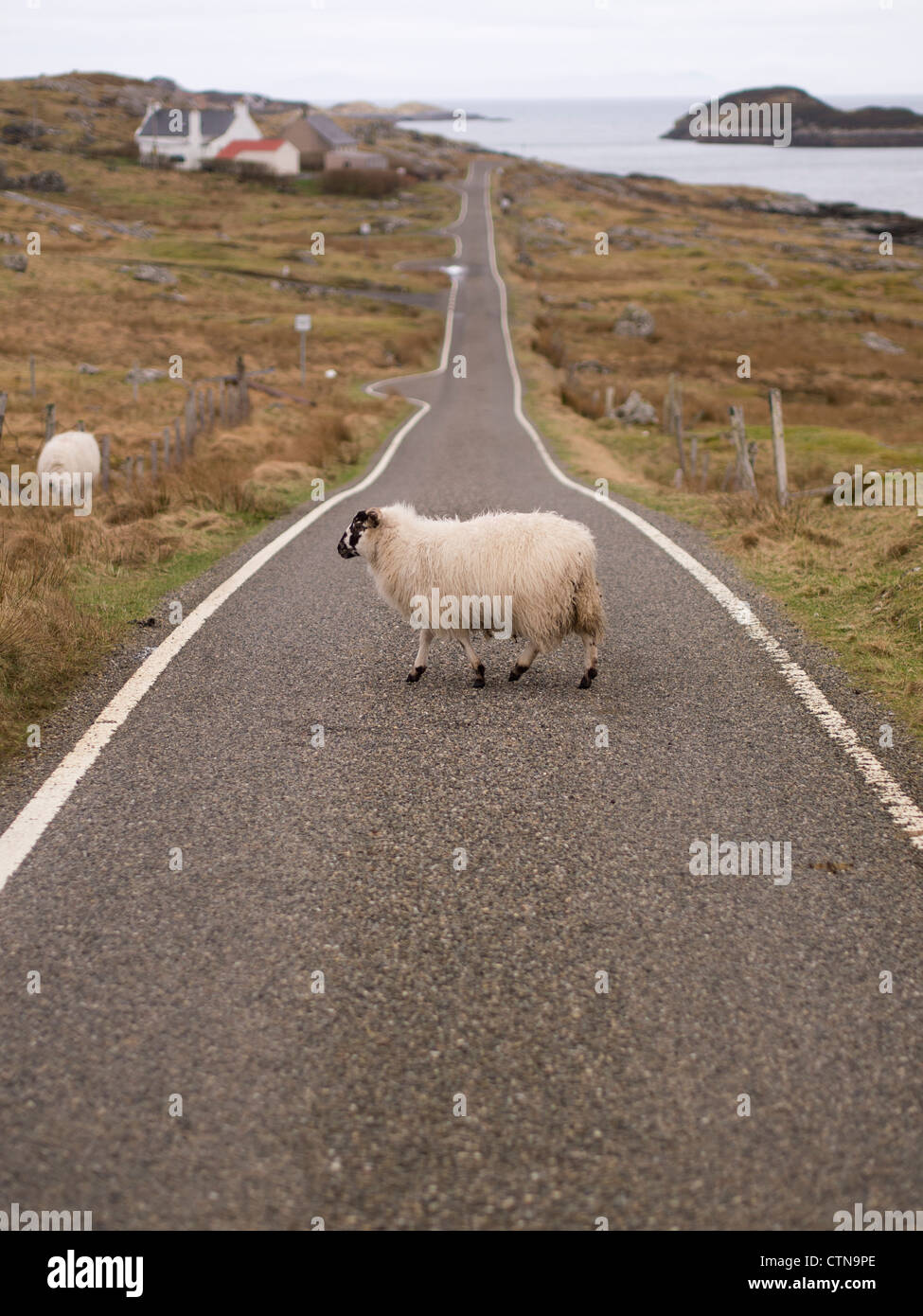 Stockinish hi-res stock photography and images - Alamy
