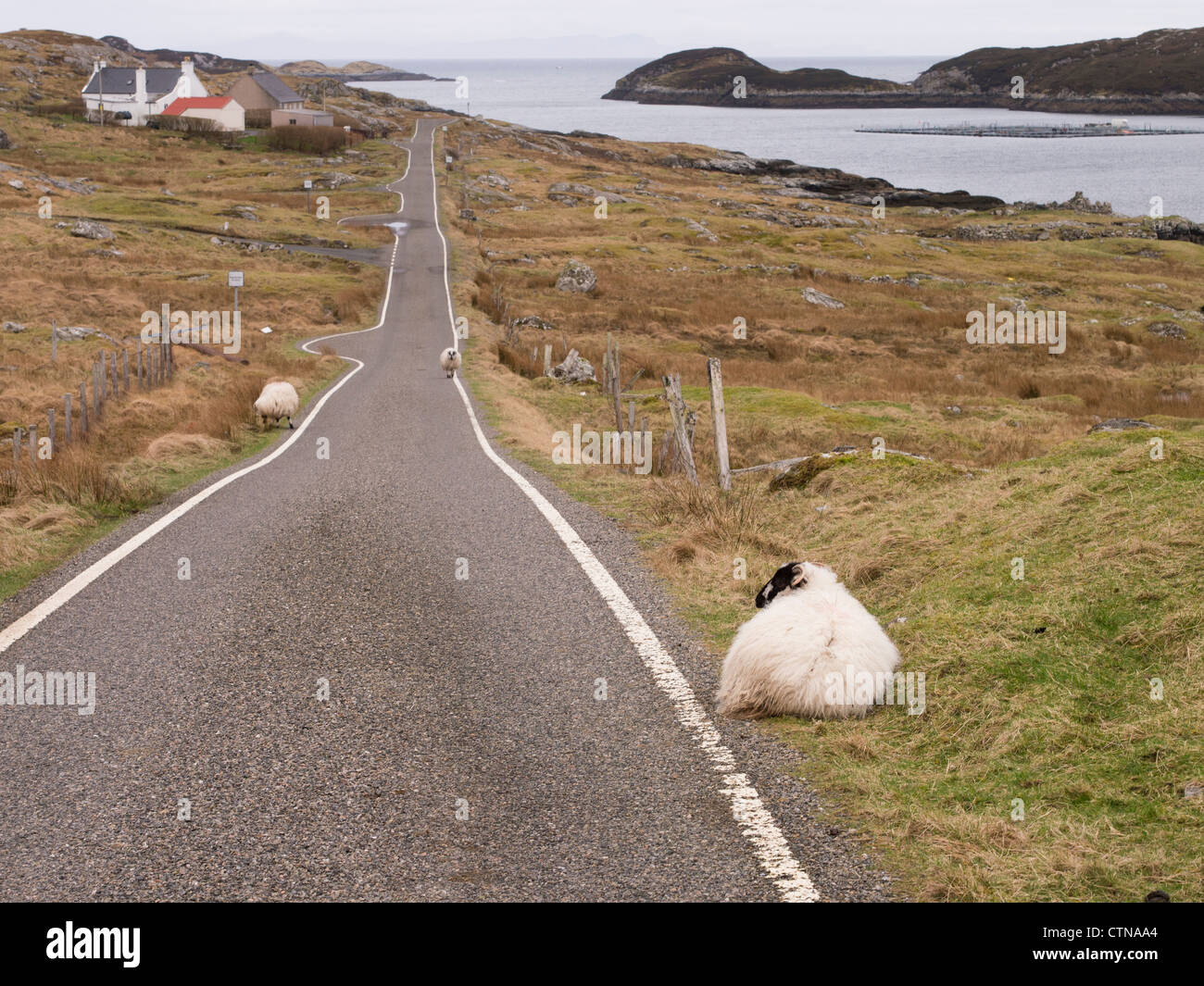 Stockinish hi-res stock photography and images - Alamy