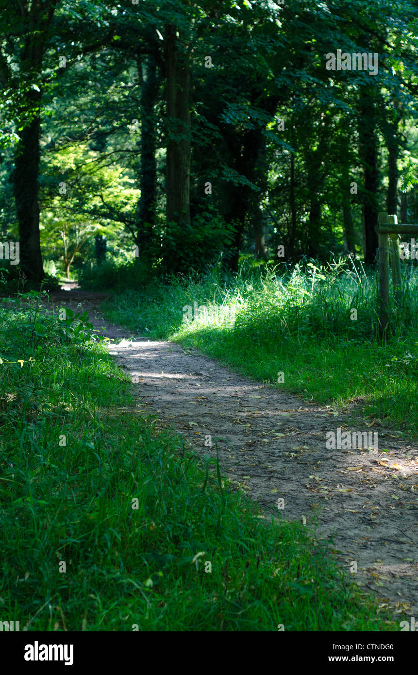 Wide path or pathway hi-res stock photography and images - Alamy