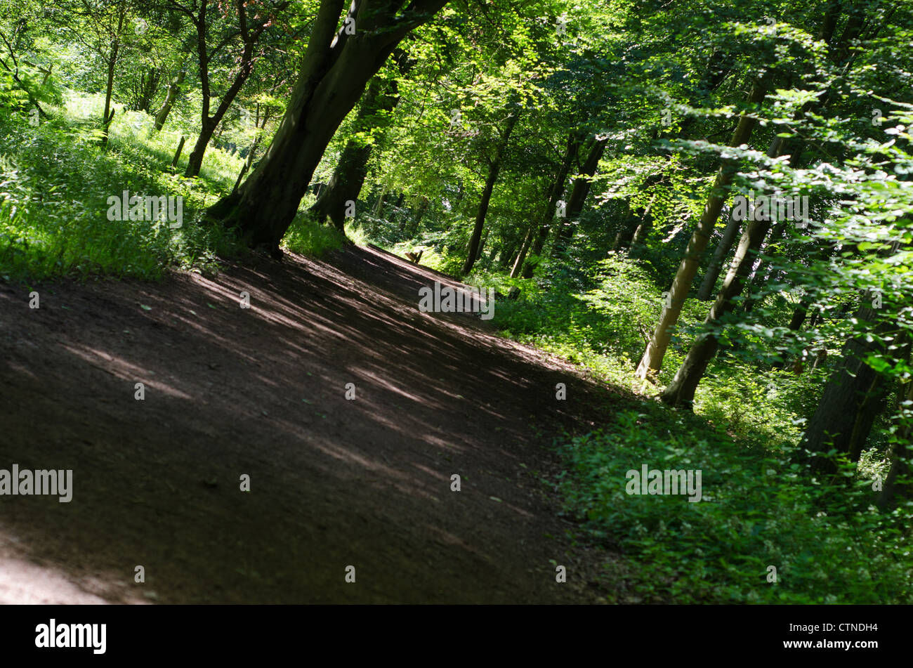 Narrow pathway meandering hi-res stock photography and images - Alamy