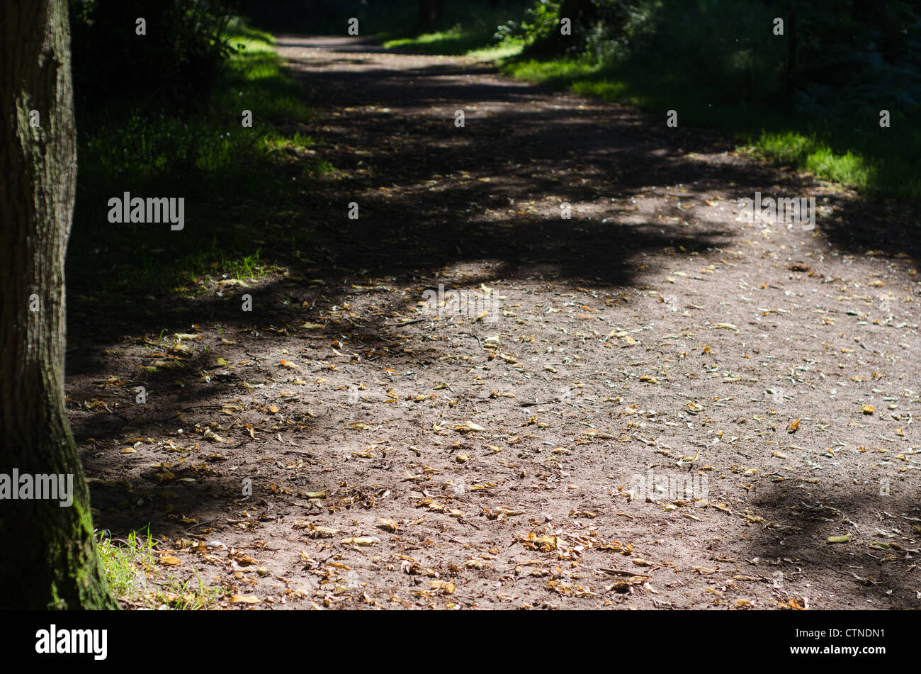 Wide path or pathway hi-res stock photography and images - Alamy