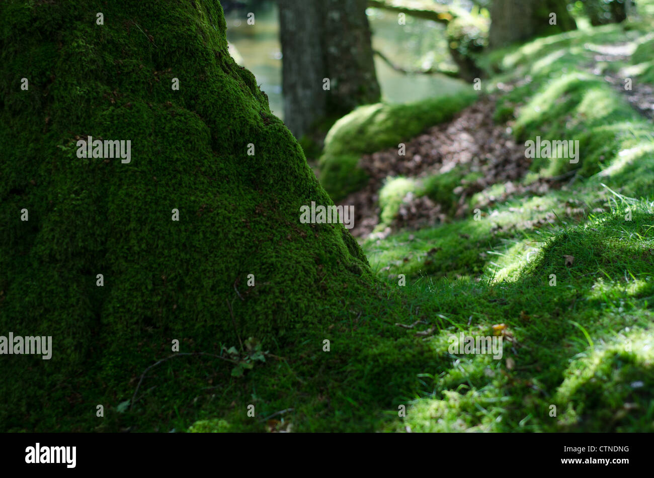 Meandering path hi-res stock photography and images - Alamy