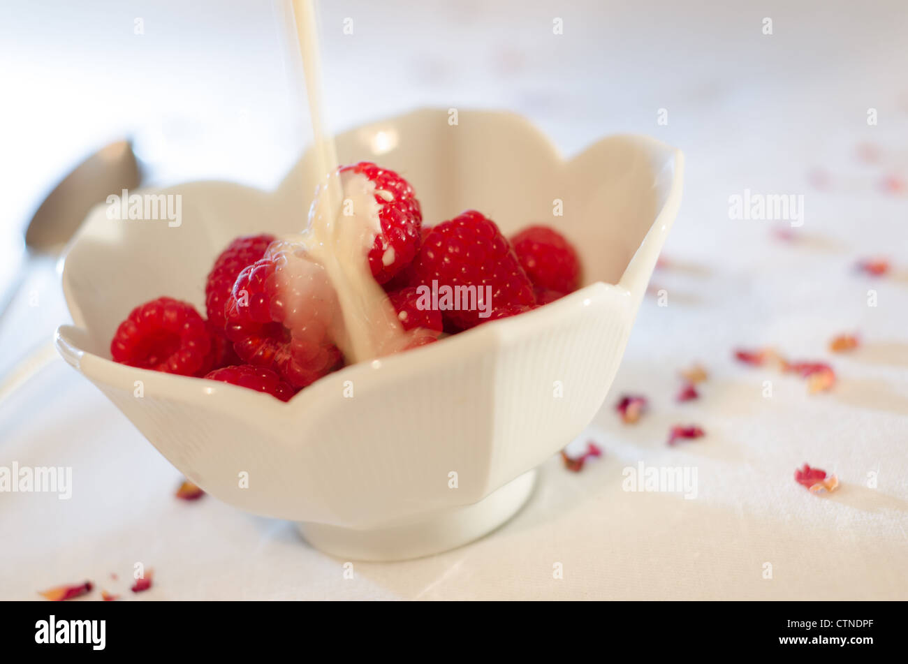 Raspberries in a white bowl with fresh cream being poured over them ...