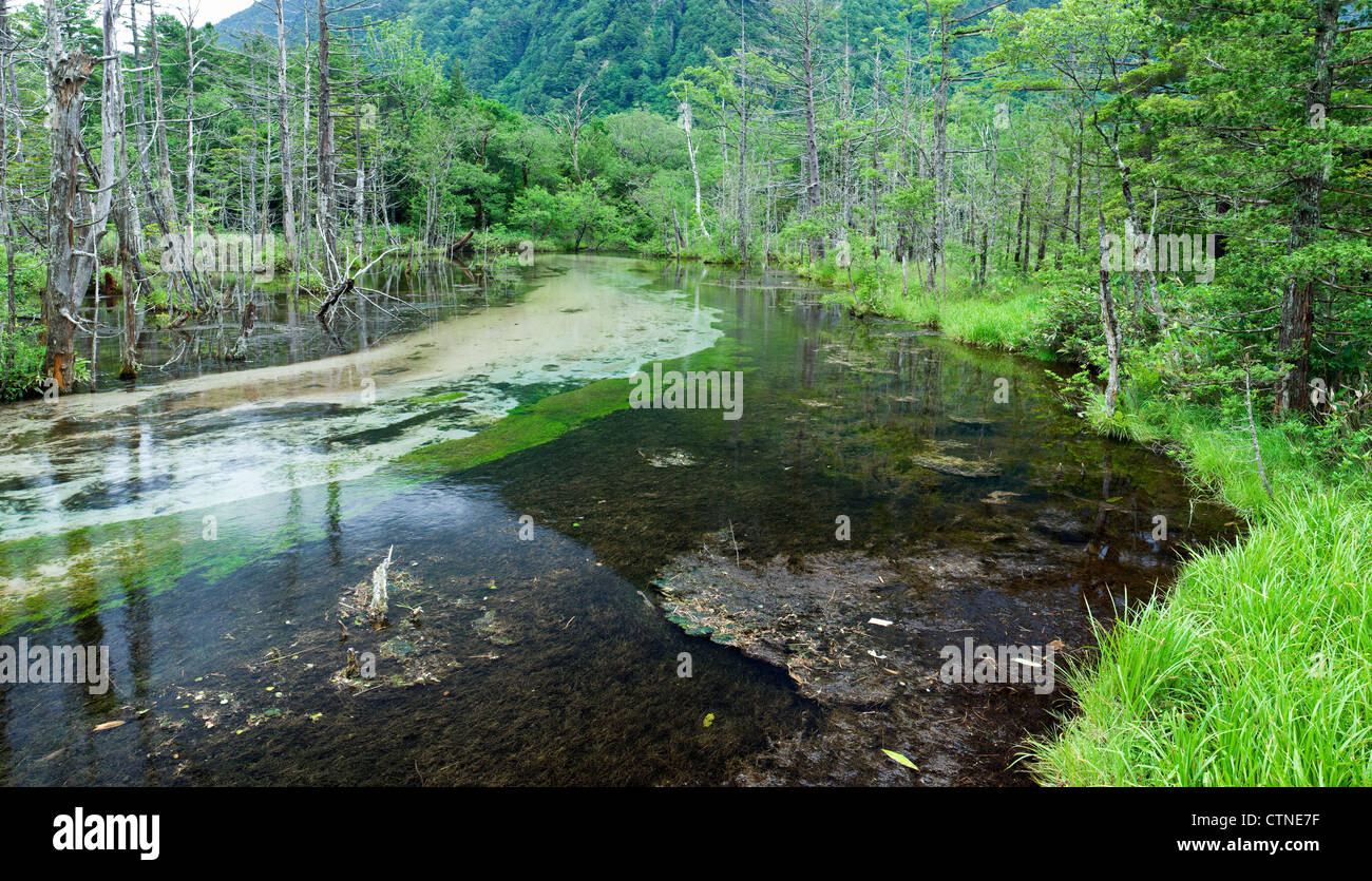 Spring fed stream hi-res stock photography and images - Alamy