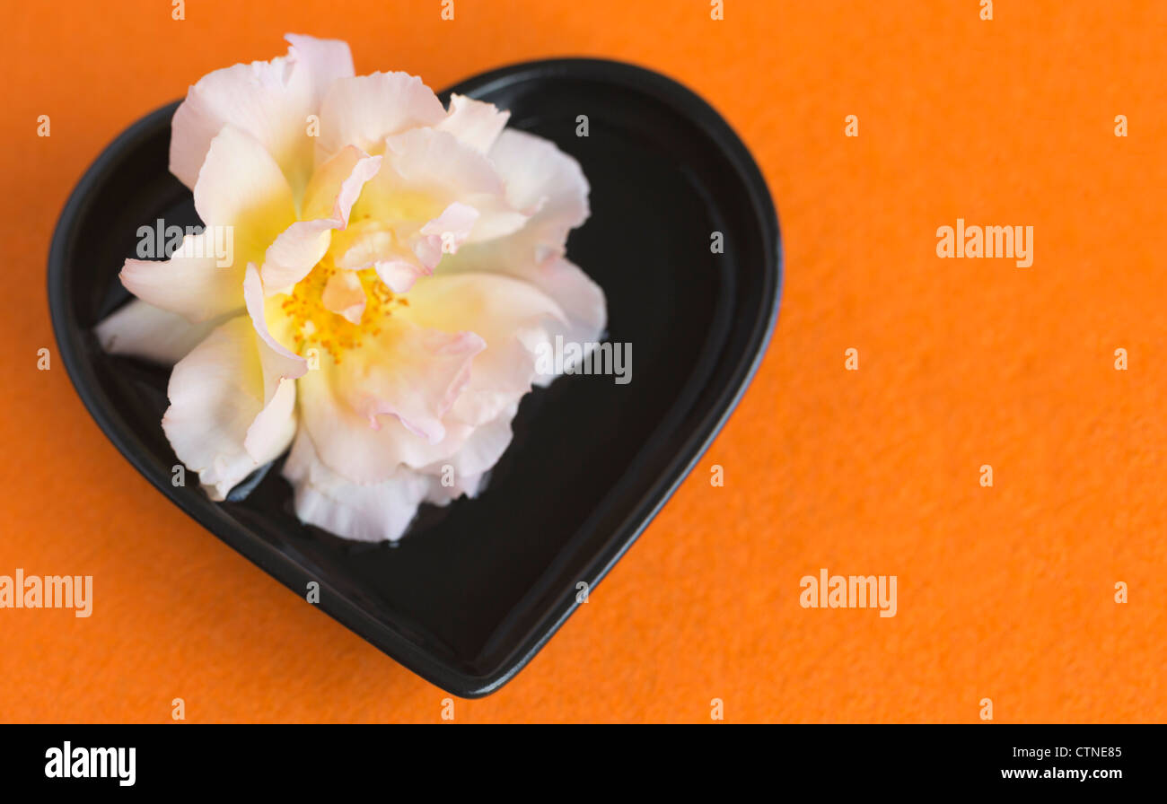 Rose dish hi-res stock photography and images - Alamy