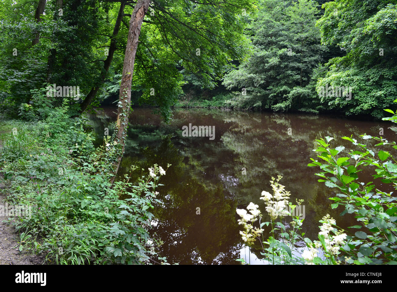 Digital river hi-res stock photography and images - Alamy