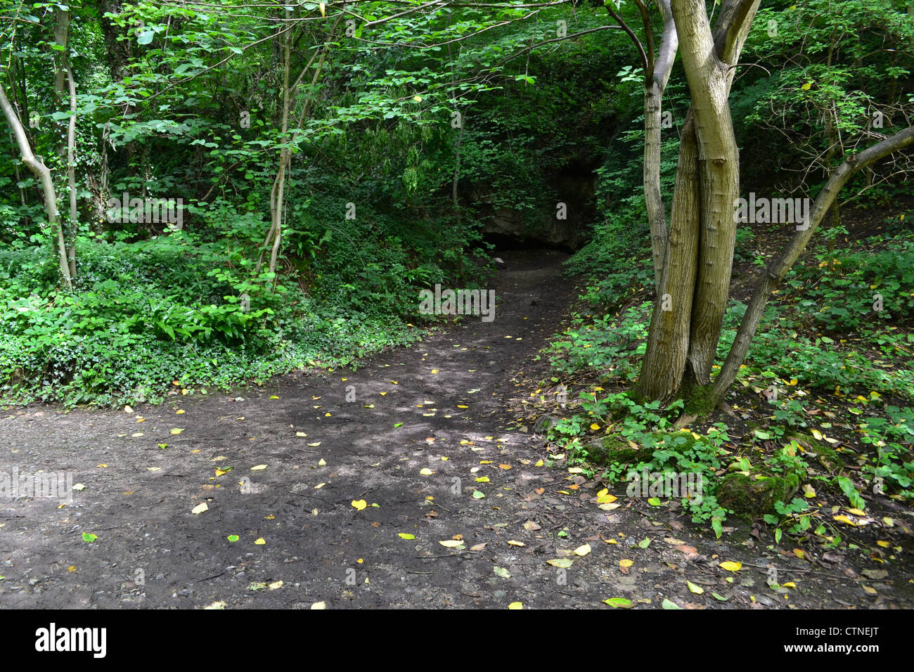 Into the Unknown Stock Photo - Alamy