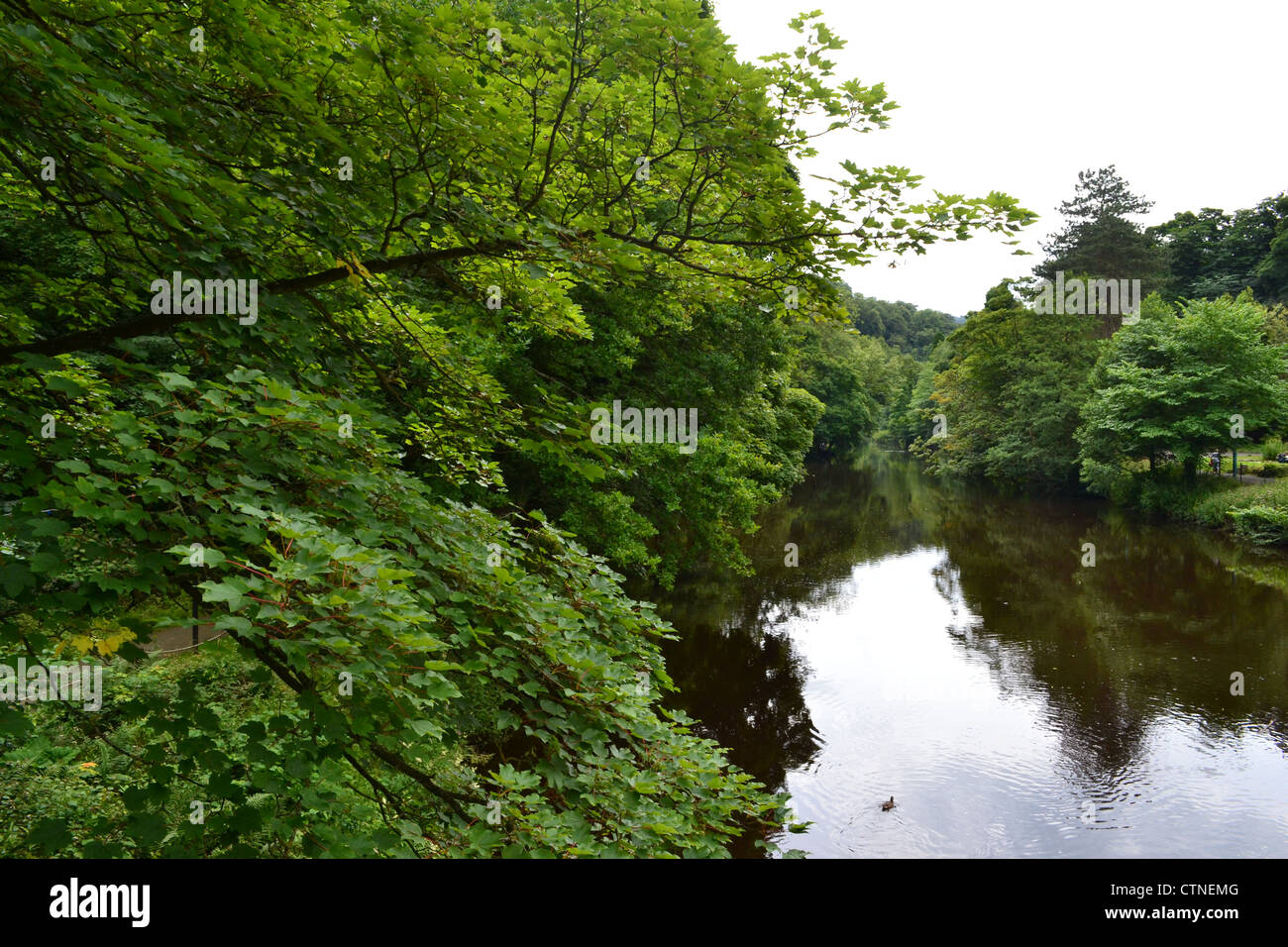 River by lovers walk in matlock bath hi-res stock photography and ...