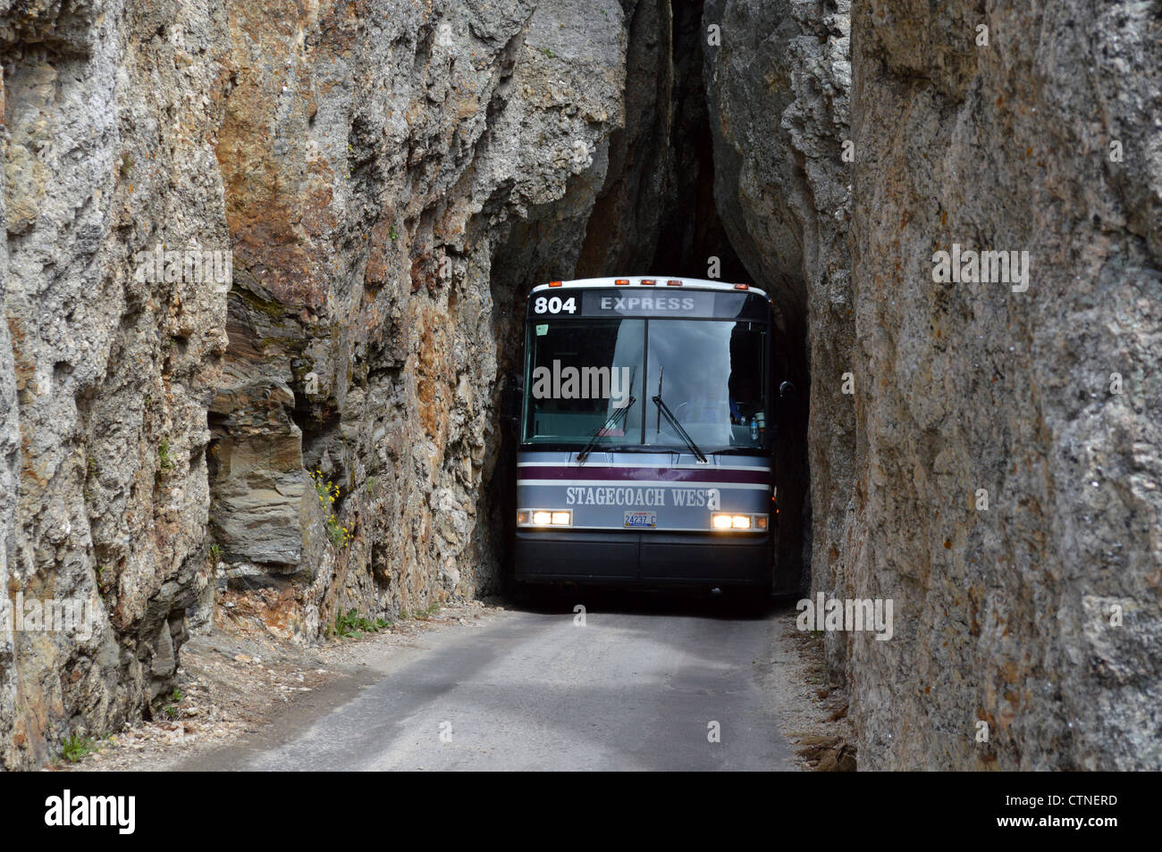 The beautiful scenic highway 85 through the needles area of Custer ...