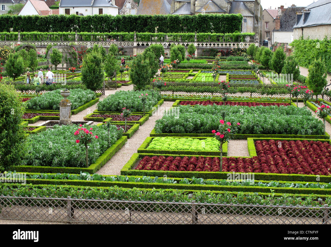 Chateau de Villandry,vegetable garden of Villandry,Indre-et-Loire ...