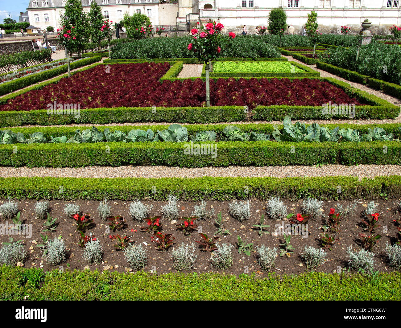 Chateau de Villandry,vegetable garden of Villandry,Indre-et-Loire ...