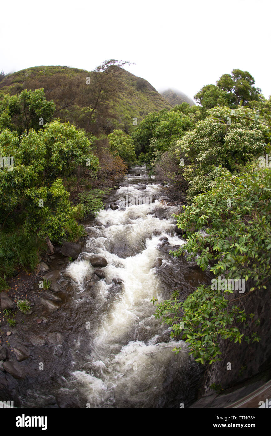 River flowing, Iao Valley, Maui, Hawaii Stock Photo - Alamy