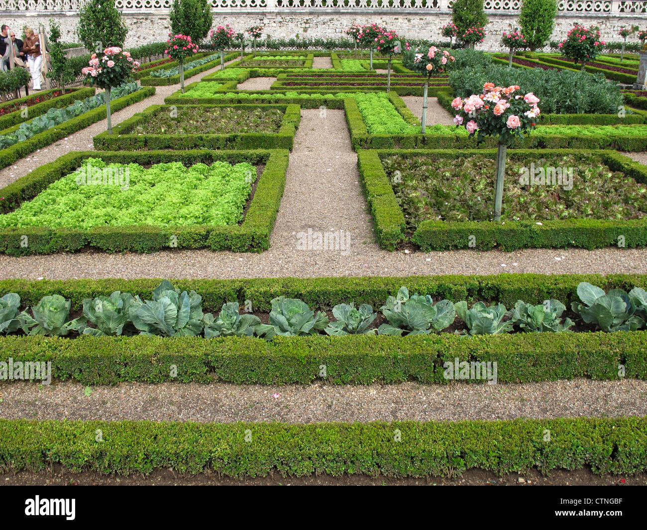 Chateau de Villandry,vegetable garden of Villandry,Indre-et-Loire ...