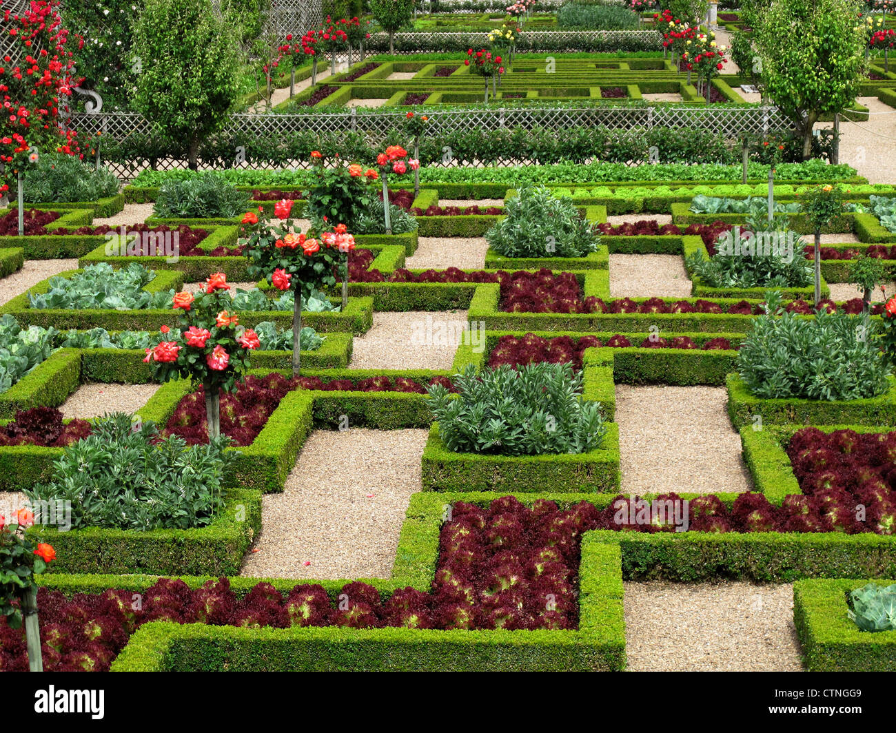 Chateau de Villandry,vegetable garden of Villandry,Indre-et-Loire ...