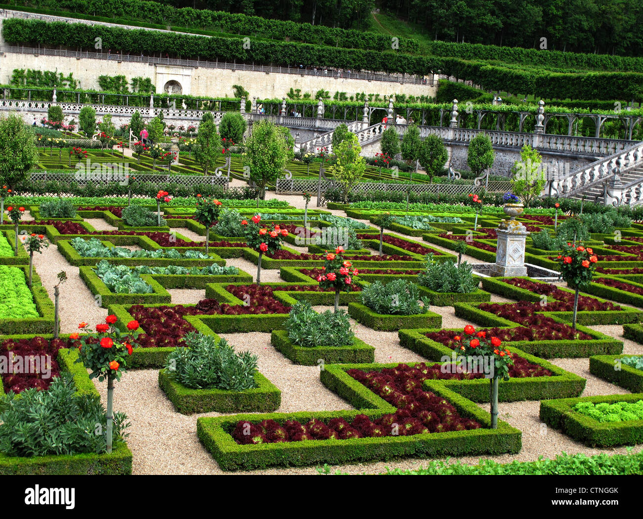 Chateau de Villandry,vegetable garden of Villandry,Indre-et-Loire ...