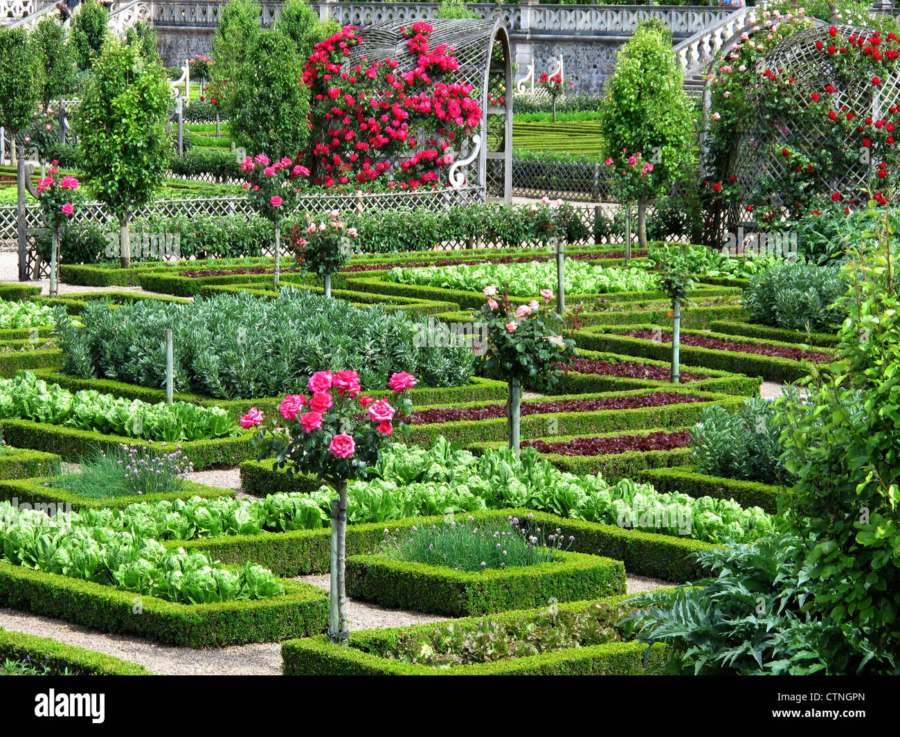 Chateau de Villandry,vegetable garden of Villandry,Indre-et-Loire ...