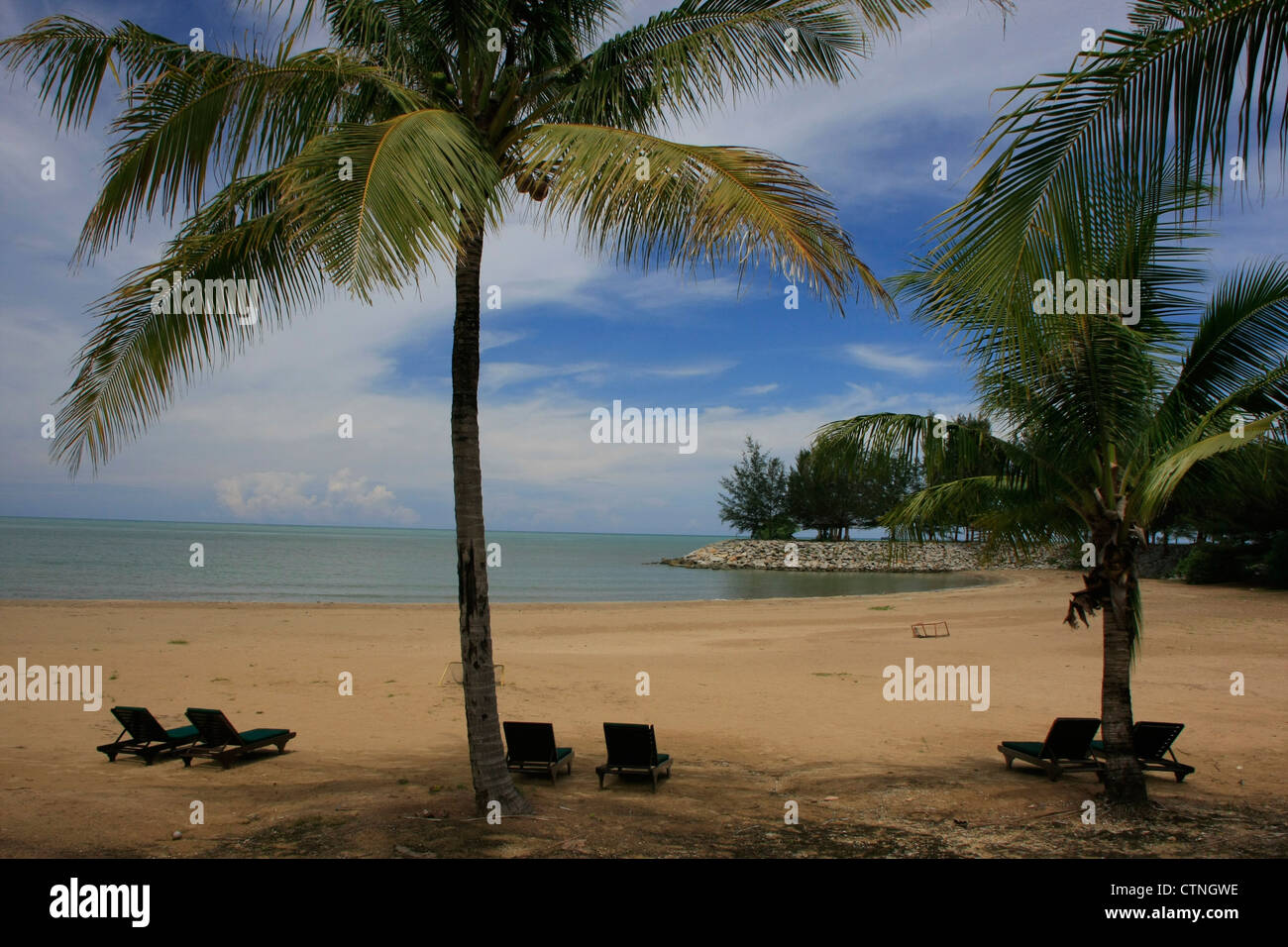 Sandy beach palm trees sea hi-res stock photography and images - Alamy