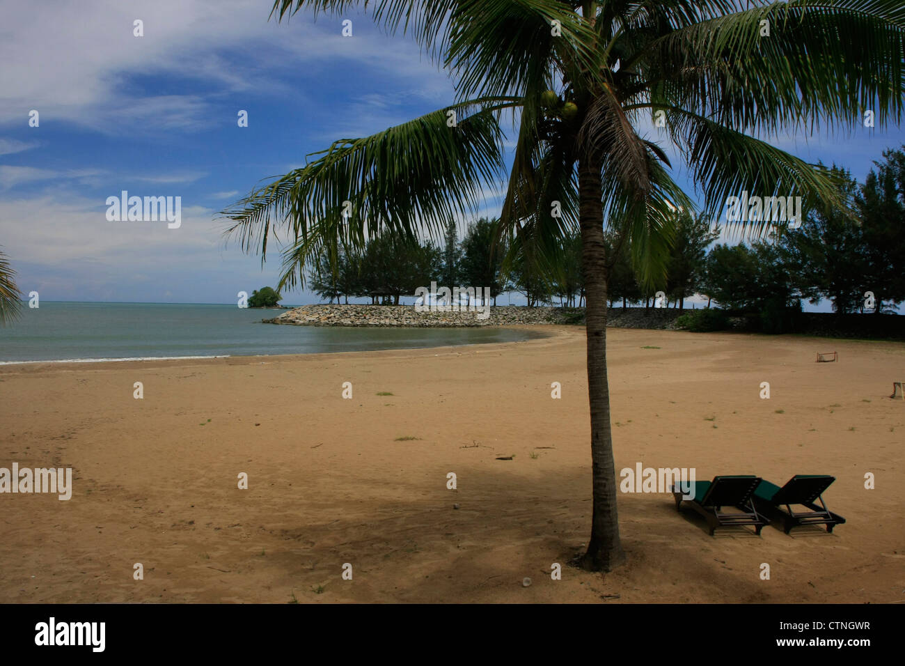 Sandy beach palm trees sea hi-res stock photography and images - Alamy