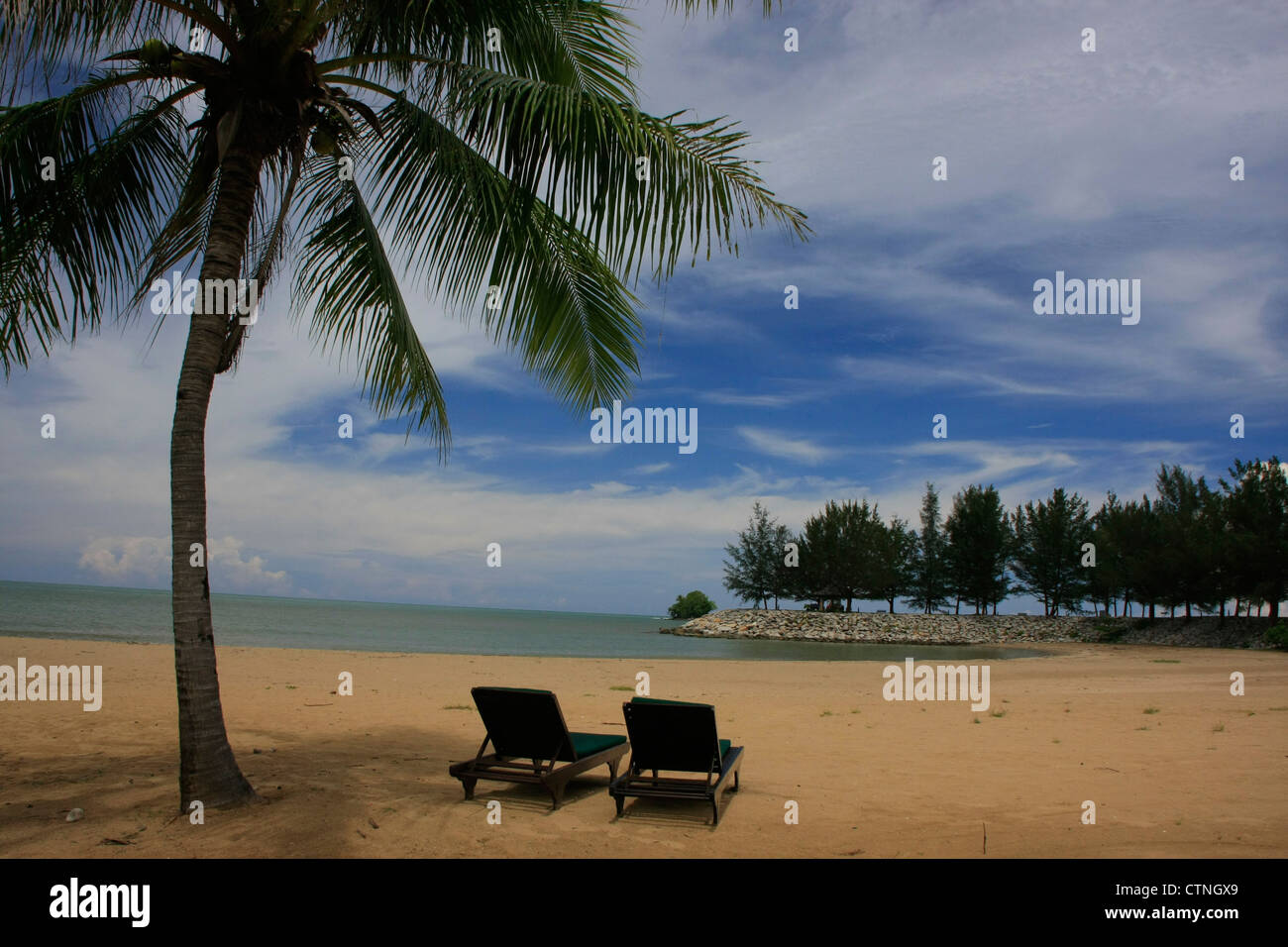 Sandy beach palm trees sea hi-res stock photography and images - Alamy