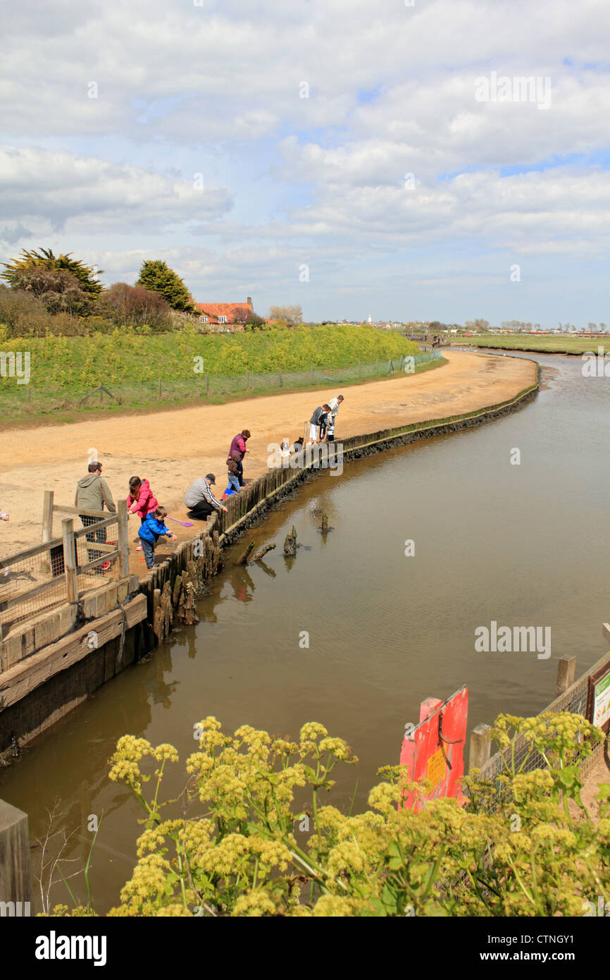 Crabbing at Walberswick Suffolk England UK Stock Photo - Alamy