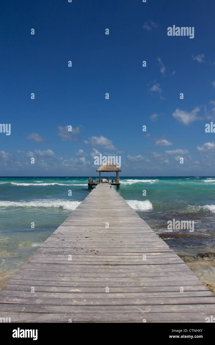 Wooden jetty leading into the perfect turquoise waters at a natural ...
