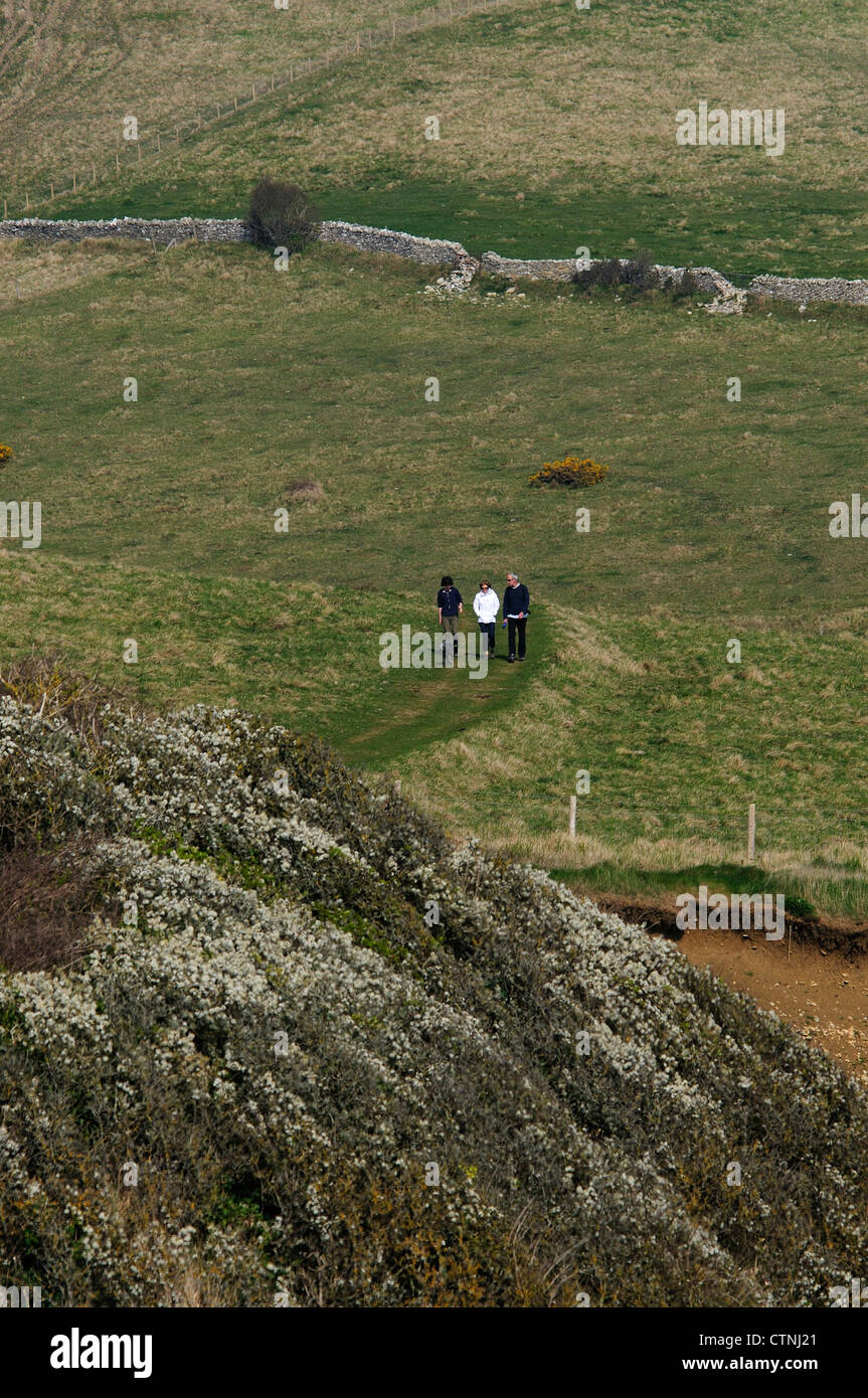 Walkers on the coast path near Seacombe cliff Dorset UK Stock Photo - Alamy