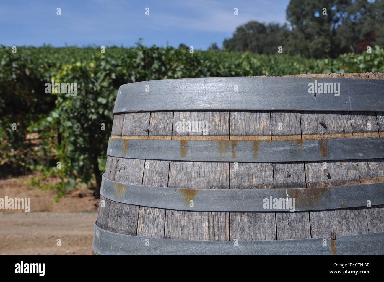 Wine Barrel and Vineyard Stock Photo - Alamy