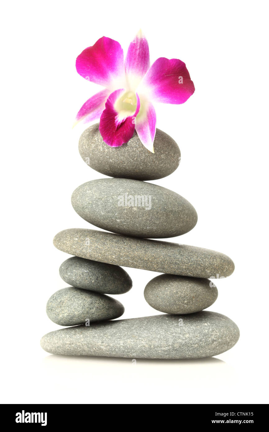 Orchid on stacked stones Stock Photo - Alamy