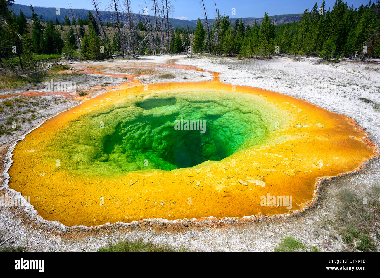Yellowstone Morning Glory Spring Inside