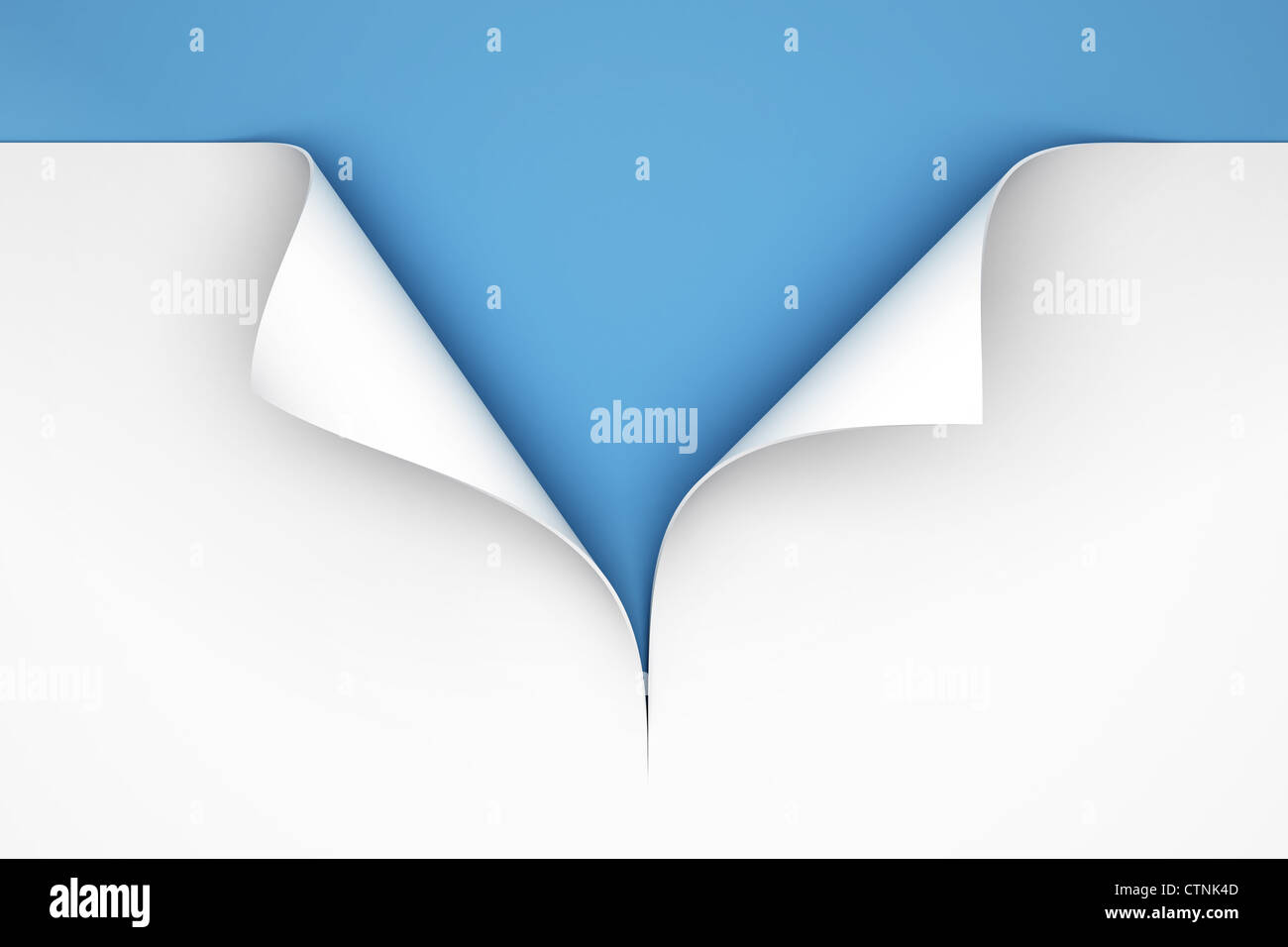 Paper curl - 3D render Stock Photo - Alamy