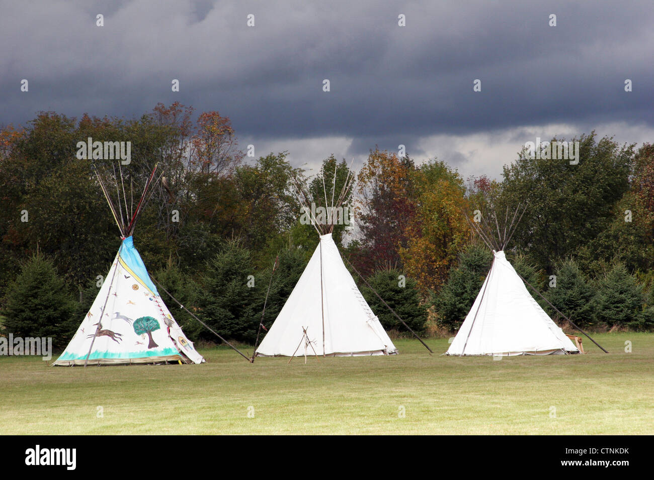 Three Native American teepees in a field next to the forest Stock Photo ...