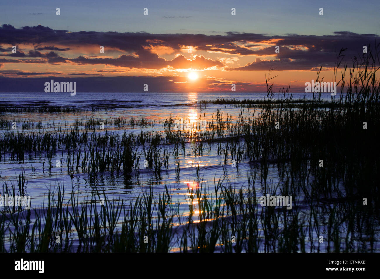 Sunset and the White Sea in summer season Stock Photo - Alamy