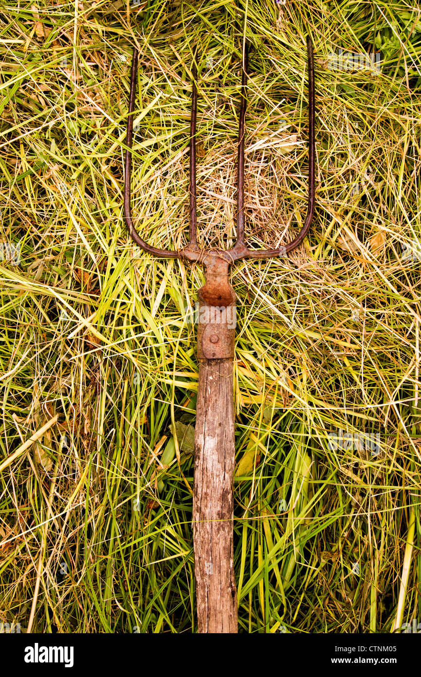 Haying time hi-res stock photography and images - Alamy