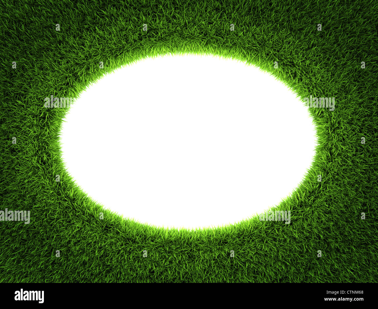 Fresh green grass circle frame isolated on white background. 3d render ...