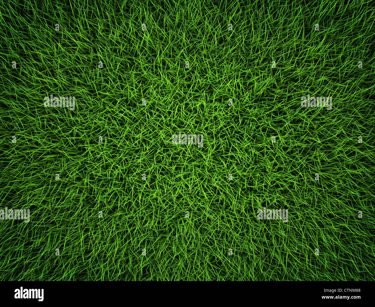 Green grass field background. Top view, 3d render Stock Photo - Alamy