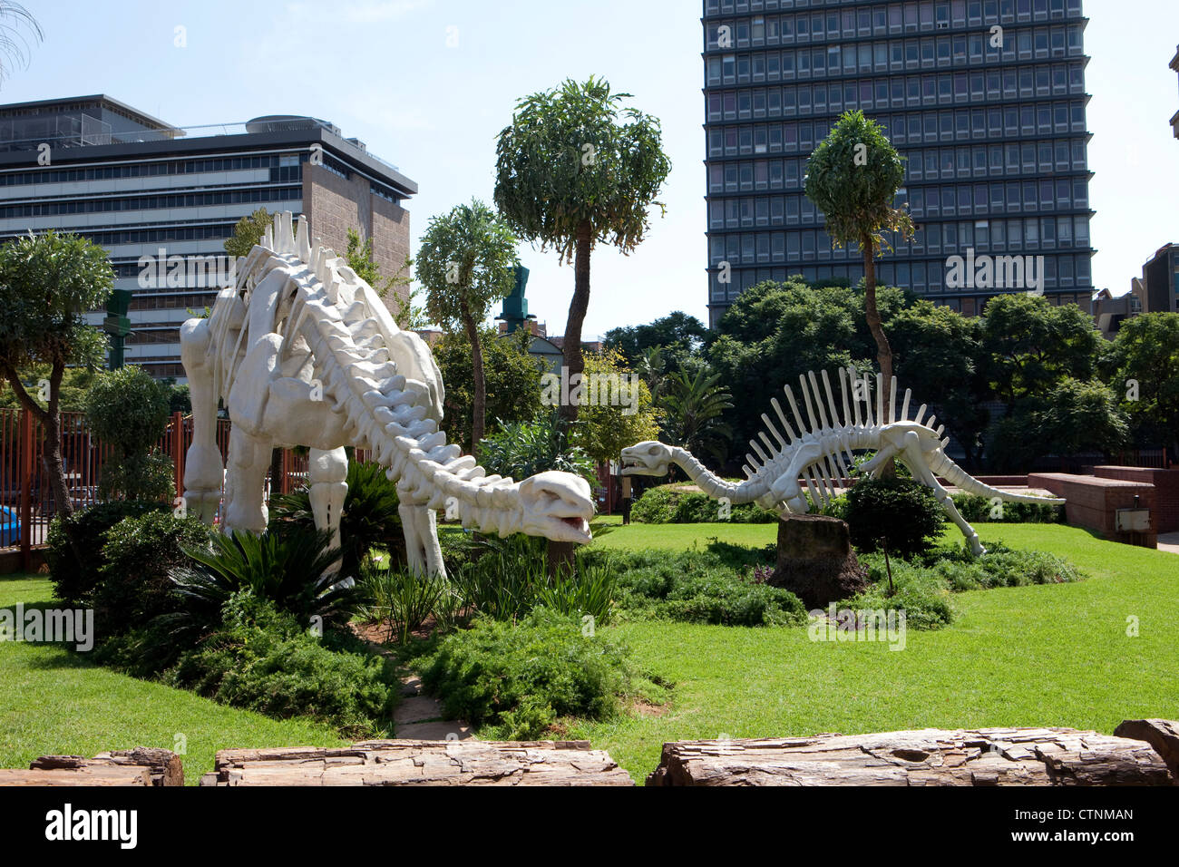 Museum of Natural History, Pretoria, Capital of South Africa, Transvaal ...