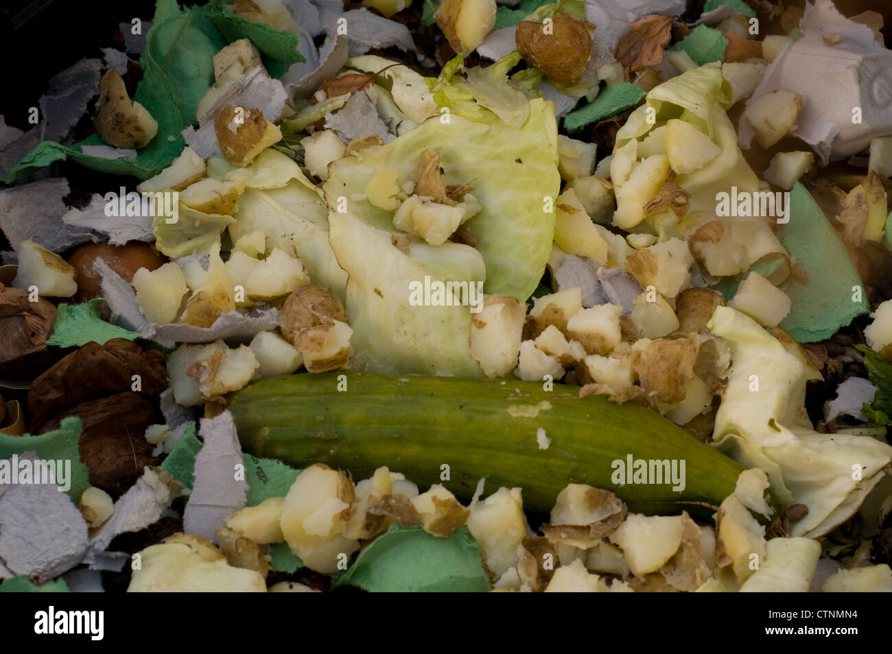 kitchen waste in a worm digester to make compost Stock Photo - Alamy