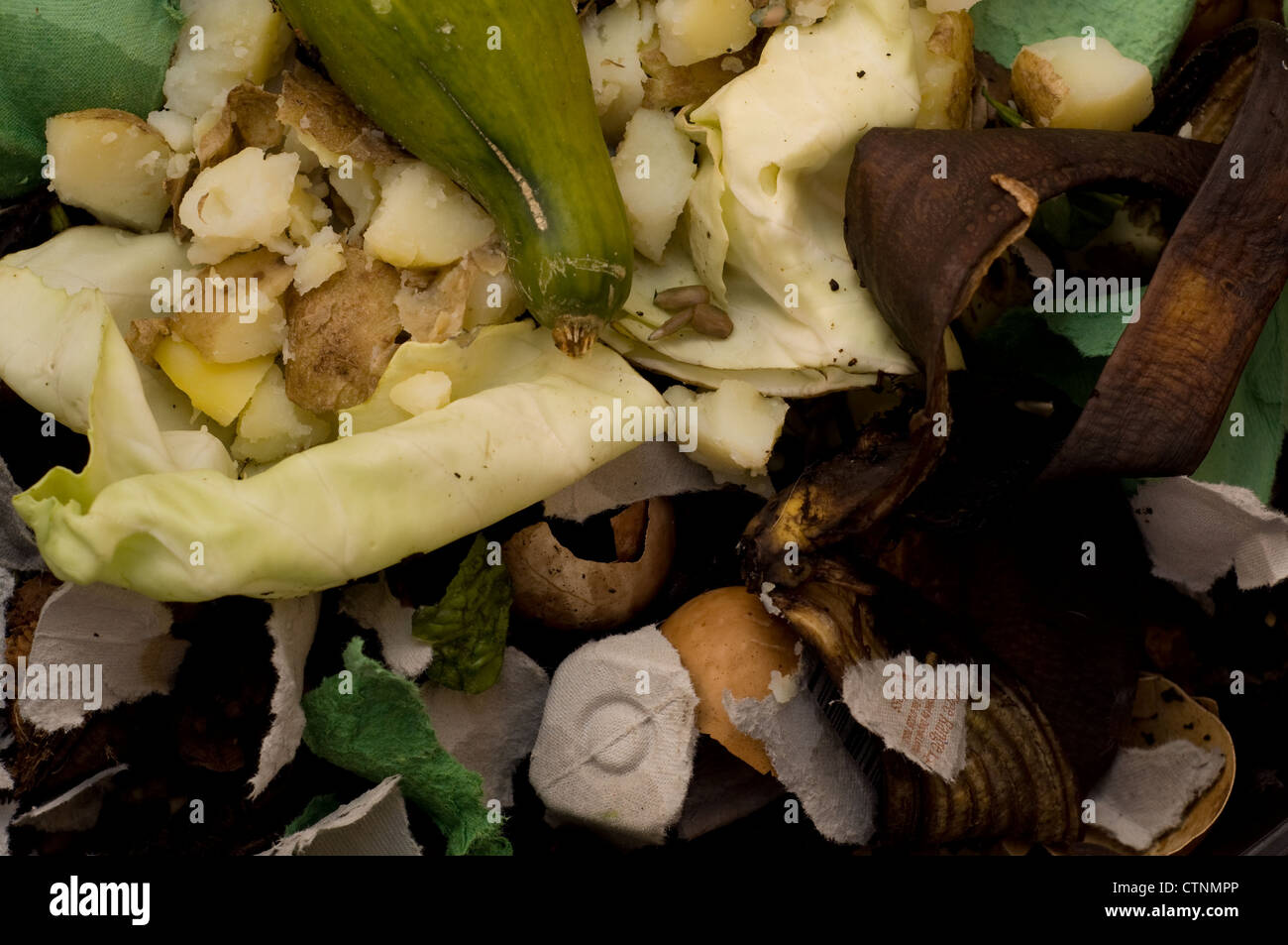 kitchen waste in a worm digester to make compost Stock Photo - Alamy