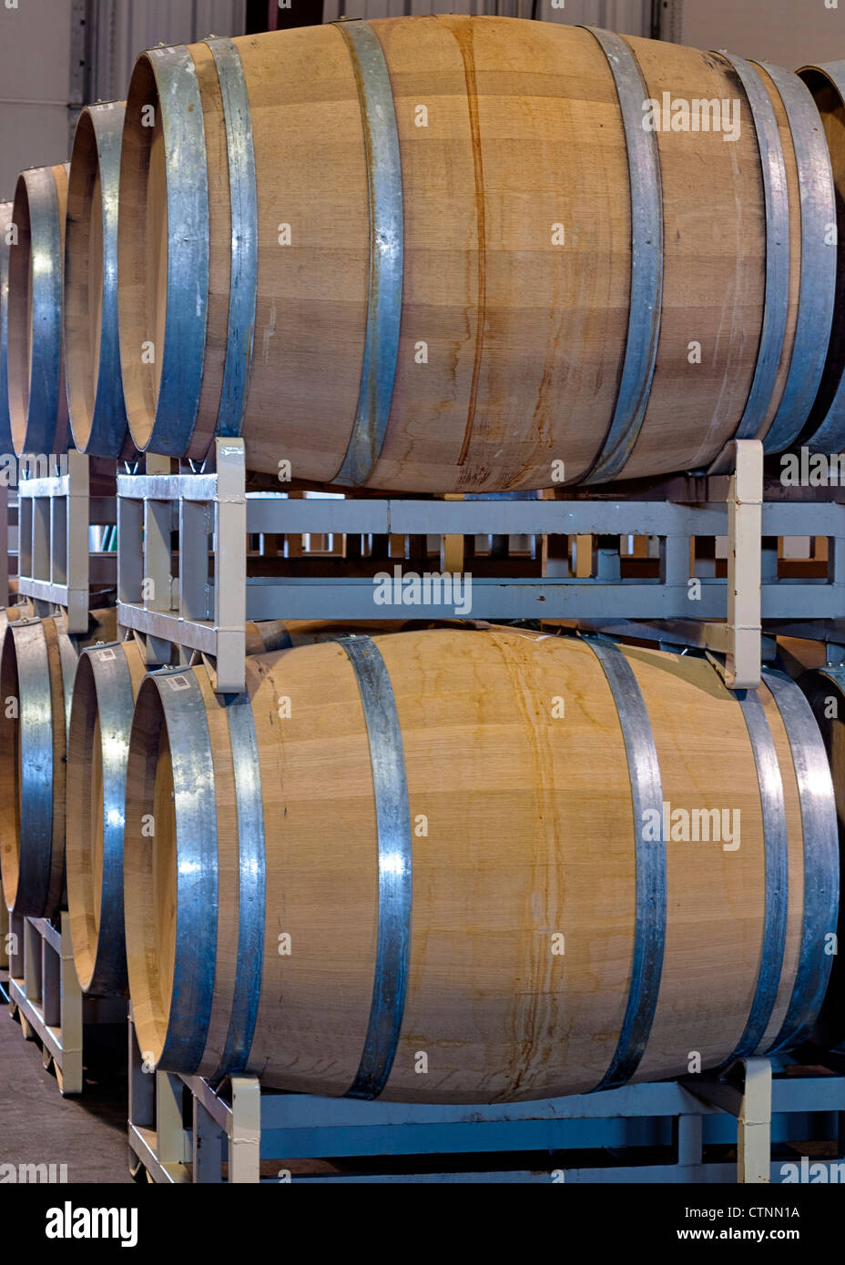 A cellar full of kegs full of wine Stock Photo - Alamy