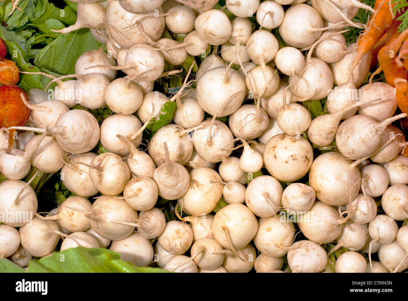 Assortment of white beets for sale Stock Photo - Alamy